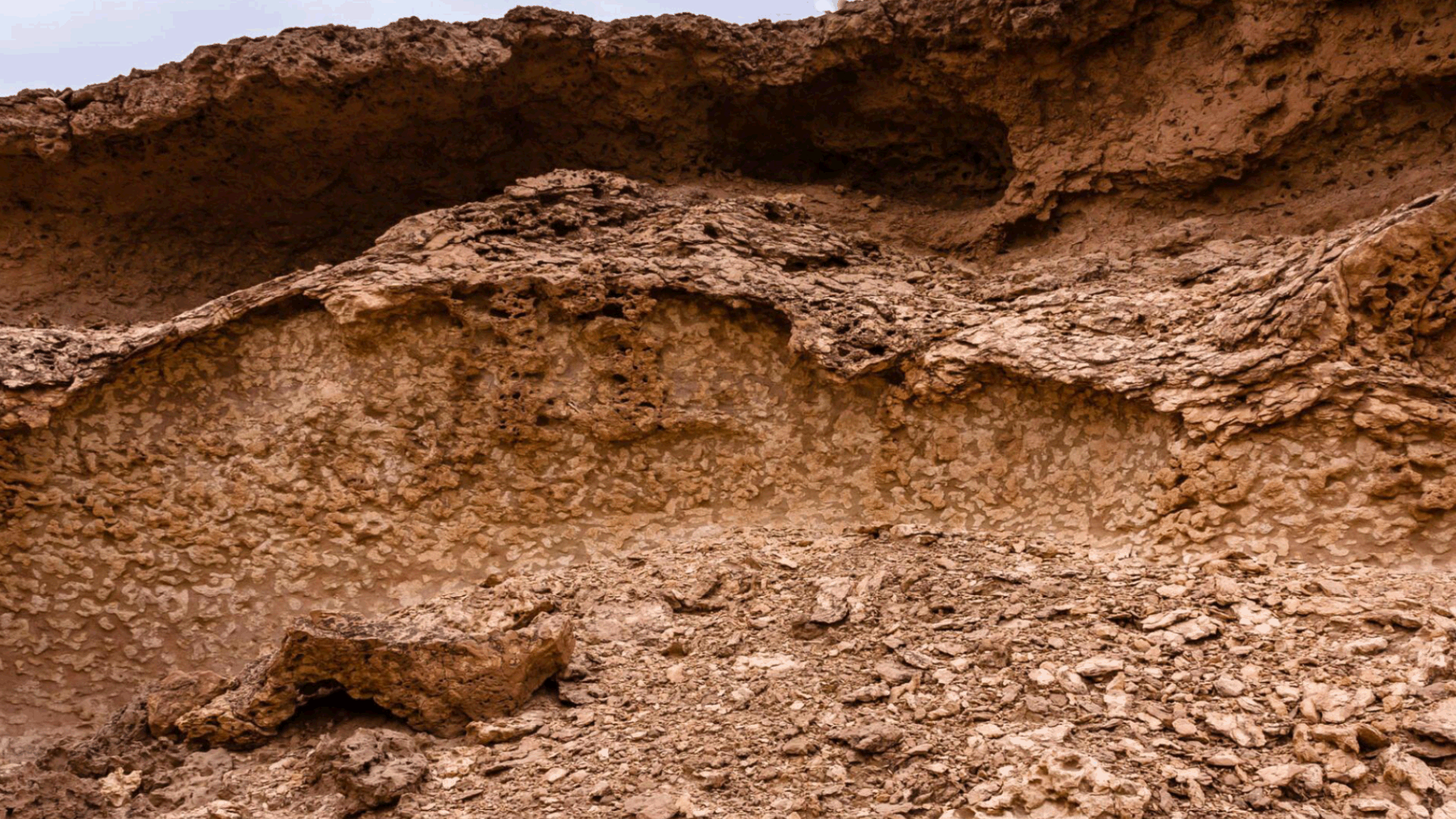 Sistem Klasifikasi Tanah: Pengertian dan Jenisnya